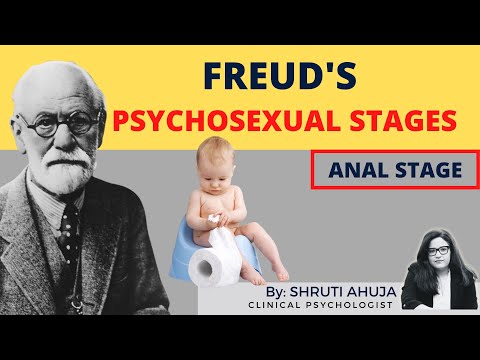 The Anal Stage | Freud's Psychosexual Stages