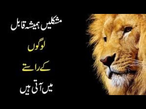 Never Give Up //Keep trying // Urdu / Hindi