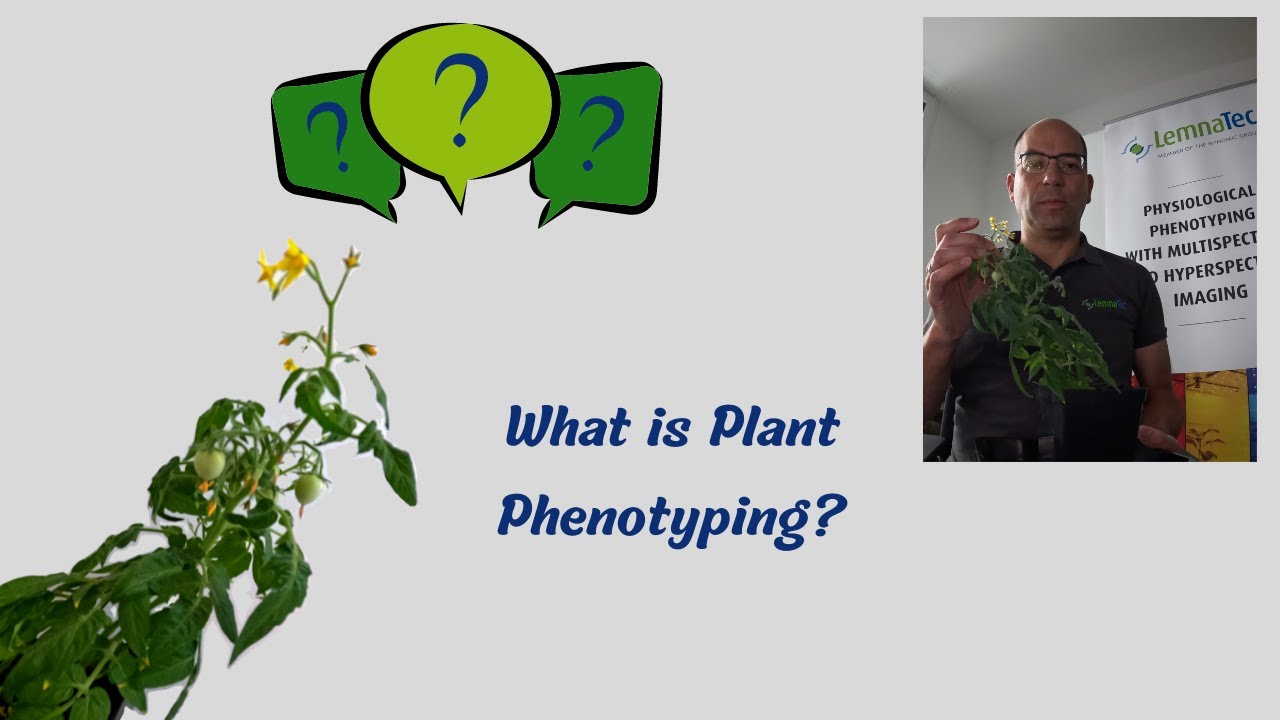 What is Plant Phenotyping?