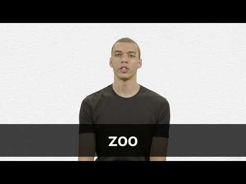 ZOO definition and meaning | Collins English Dictionary