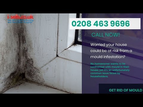5 Signs Your Home Has a Mould Problem | Condensation, Leaks, Smells & Health Issues