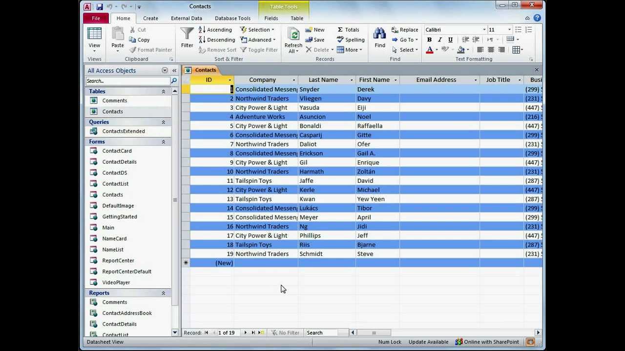 In Access: Modify the Access 2010 templates