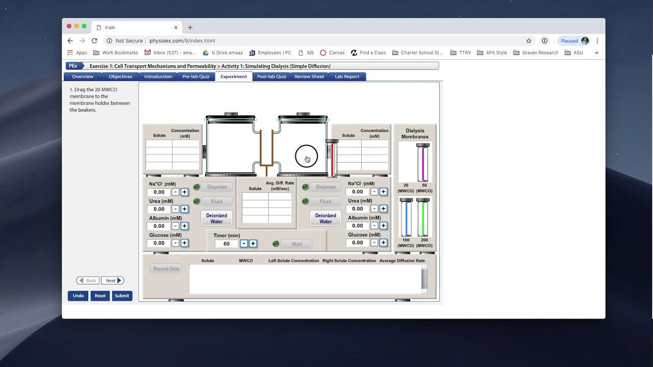 BIO160 PhysioEx Instructions