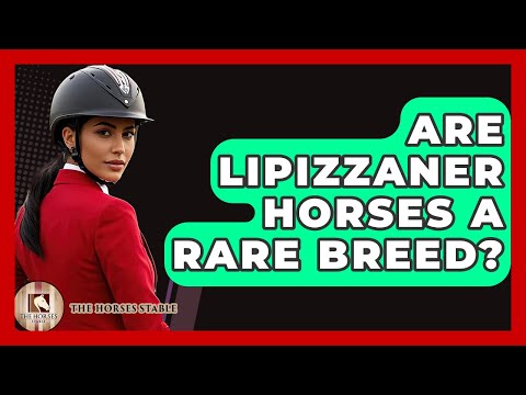 Are Lipizzaner Horses A Rare Breed? - The Horses Stable