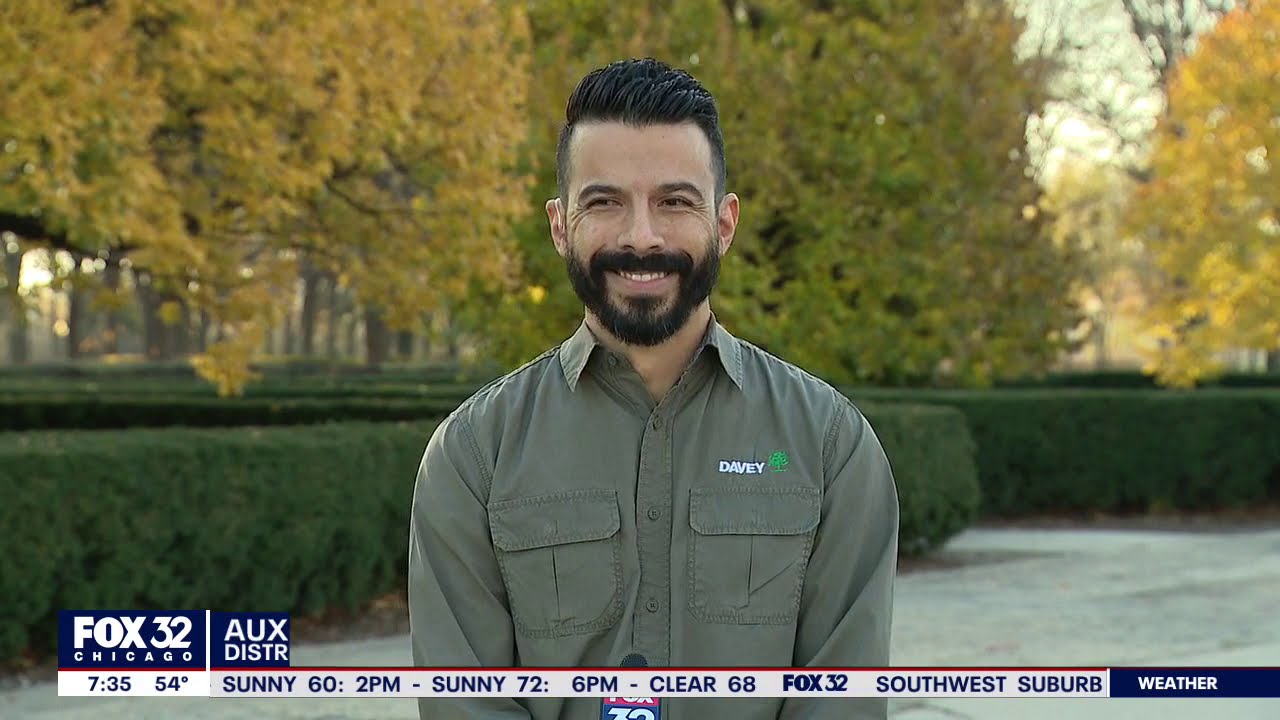 Best Practices: Preparing Trees For Winter