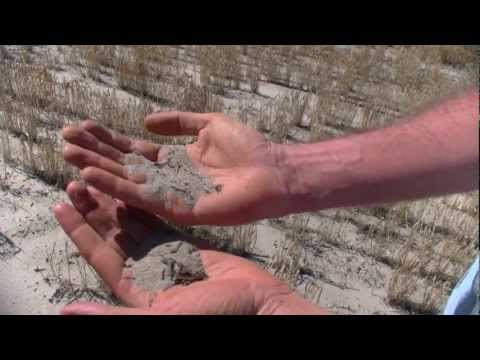 Response to Mouldboard Plough depending on soil tpye