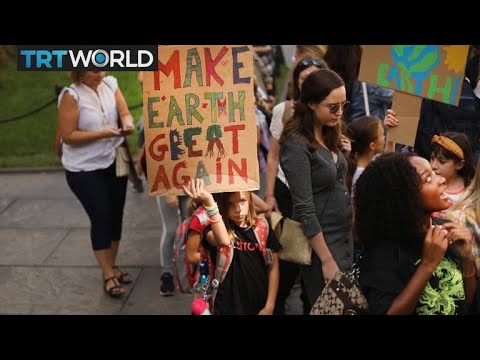 Youth groups call for government action on climate crisis | Money Talks