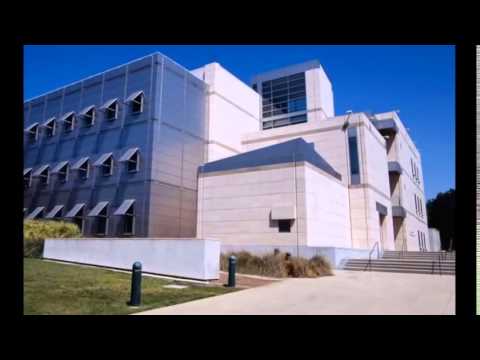 rabbit university