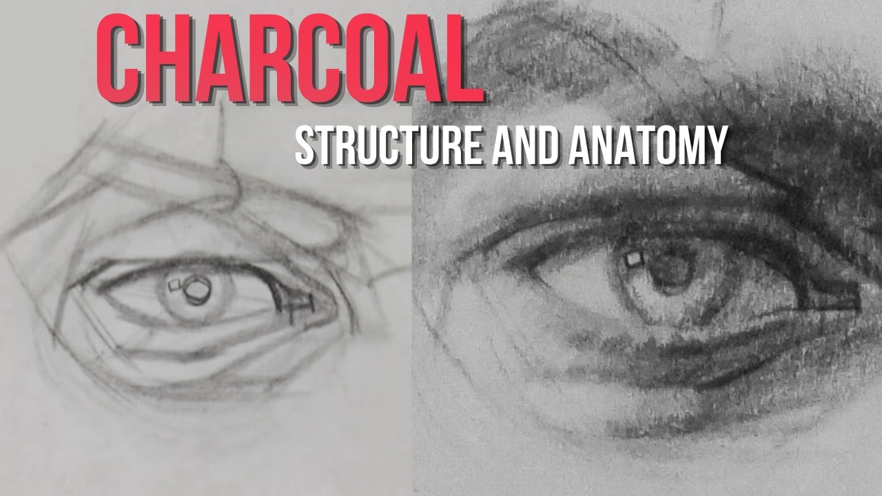 Drawing a Realistic Eye in Charcoal with Structure and Anatomy