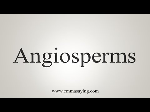 How To Say Angiosperms