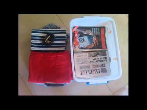 VN- DISSIDENT DIEU CAY NEWS UPDATE