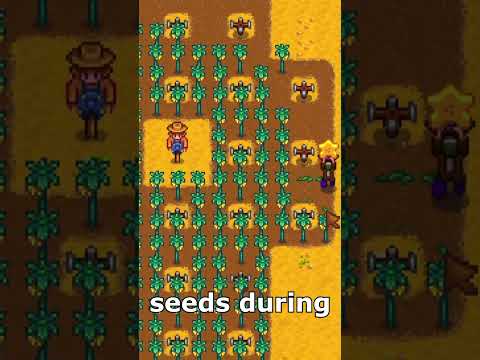 Two Years MIN/MAX + 100% Perfection Trailer