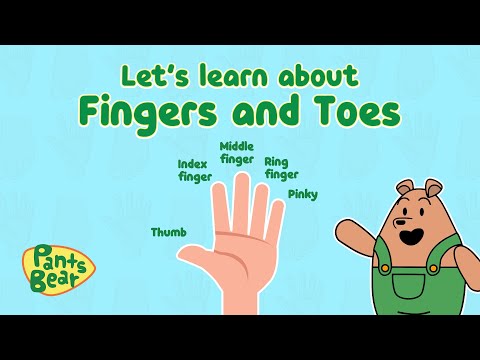 Finger Names in English | Fingers and Toes | Educational Video | Pants Bear Kids | Cartoons