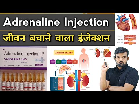 Adrenaline Injection - Adrenaline Vial Latest Price, Manufacturers ...