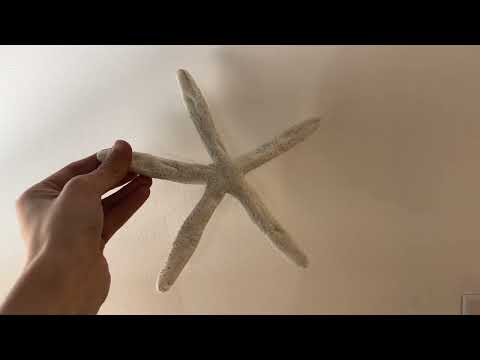 Flat White Starfish Decor π Coastal Vibes for Any Space | Abbott Collection Review