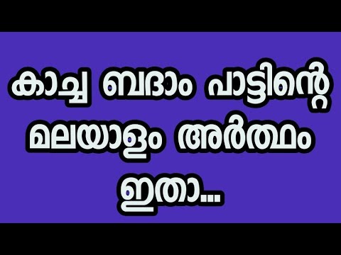 Viral song kacha badam | Kacha badam song meaning in malayalam | #viralvideo #youtube