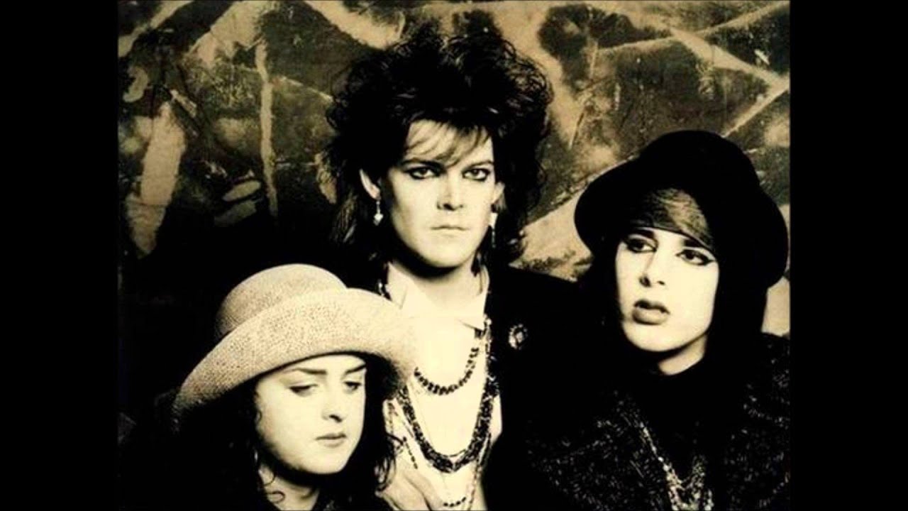 December Flowers - Soliloquy