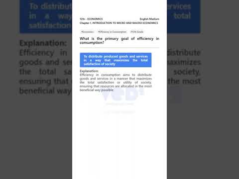Efficiency in Consumption Explained | Economics 12th