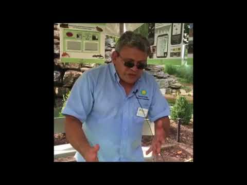 DNA Samples with Jesus Maldonado