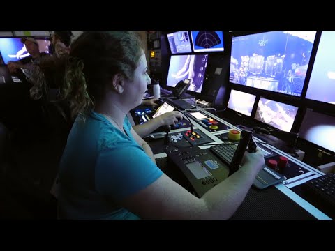 ROV Exploration and Discovery (ft. Antonella Wilby) | Science Stories