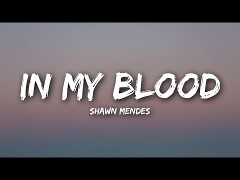 Shawn Mendes - In My Blood (Lyrics / Lyrics Video)