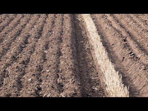 British National Ploughing Championships 2024 - Thoresby Estate, Nottinghamshire