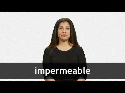 English Translation of “IMPERMEABLE” | Collins Spanish-English Dictionary