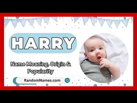 Harry - Baby Boy Name Meaning, Origin & Popularity - RandomNames.com