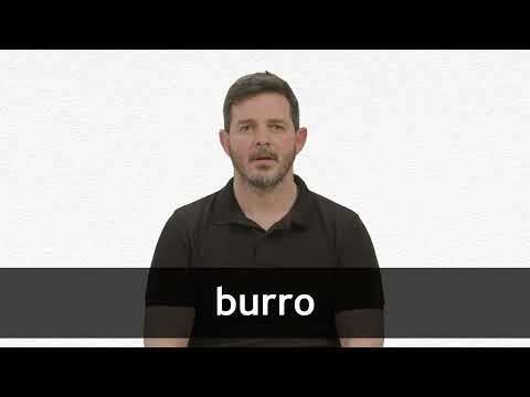 English Translation of “BURRO” | Collins Spanish-English Dictionary