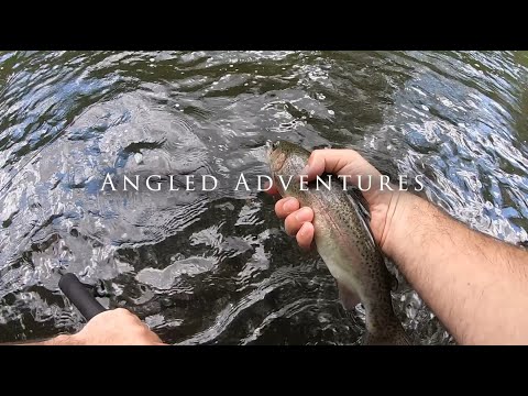 Fly fishing the Musconetcong River (Part 1), May 2022