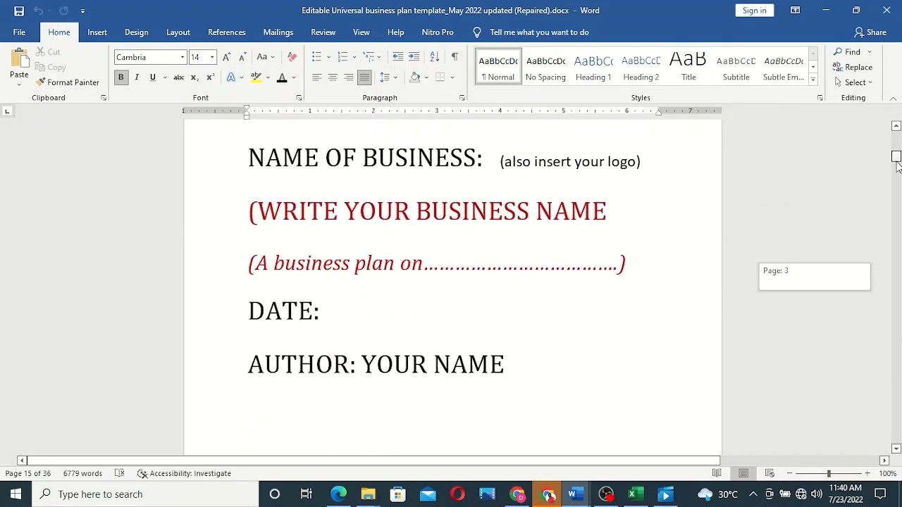 Editable Universal Business Plan Template (Do It Yourself)