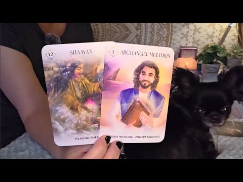 Je Zielsmissie Gaat Van Start Want Het Is Tijd! • Gezamenlijk Of Onafhankelijk Van Elkaar?