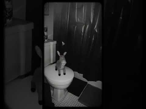 peluches moviéndose captados en cámara