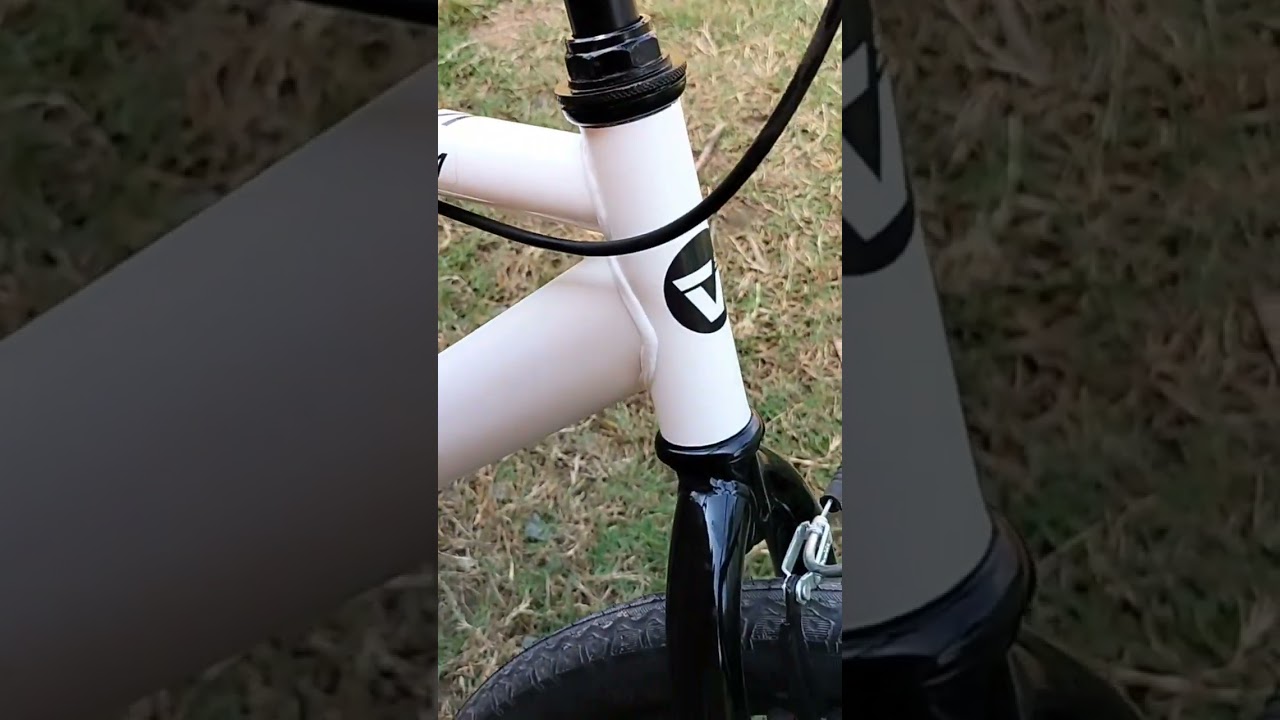 vector 91 cycle#shorts