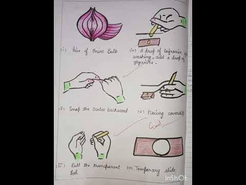 Science Lab Manual Class IX