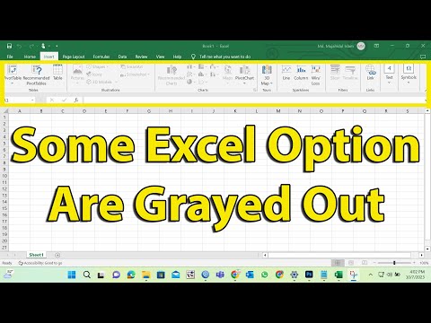 How to Fix Some Excel Options are Grayed Out (inactive) 2023
