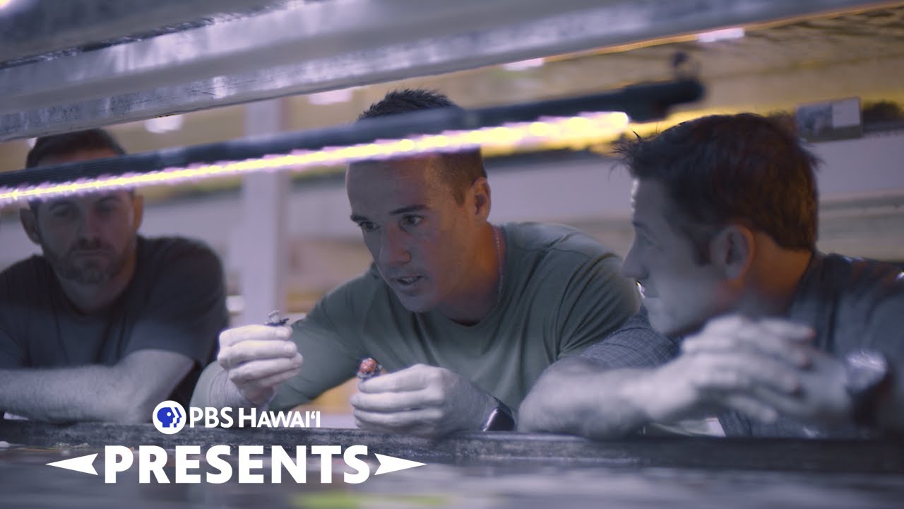 Infected Earth: The Health Crisis of Climate Change | Galaxy.ai