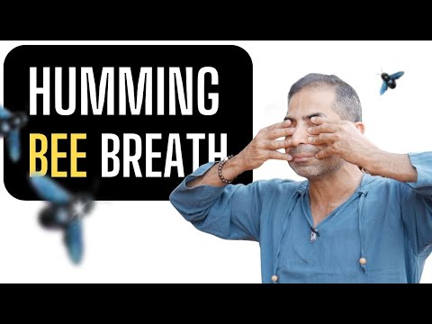 Bhramari Pranayama Explained 🐝 Master the Humming Bee Breath to Increase Nitric Oxide