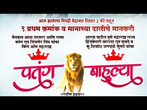 #बैलगाडाशर्यत १ नंबर चा मानकरी पब्लिक किंग पतंग (कोरेगाव निगडी) #शर्यत #नाद_फक्त_एकच_बैलगाडा_शर्यत