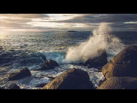 GROWING IN THE WIND by Mart DeHaan