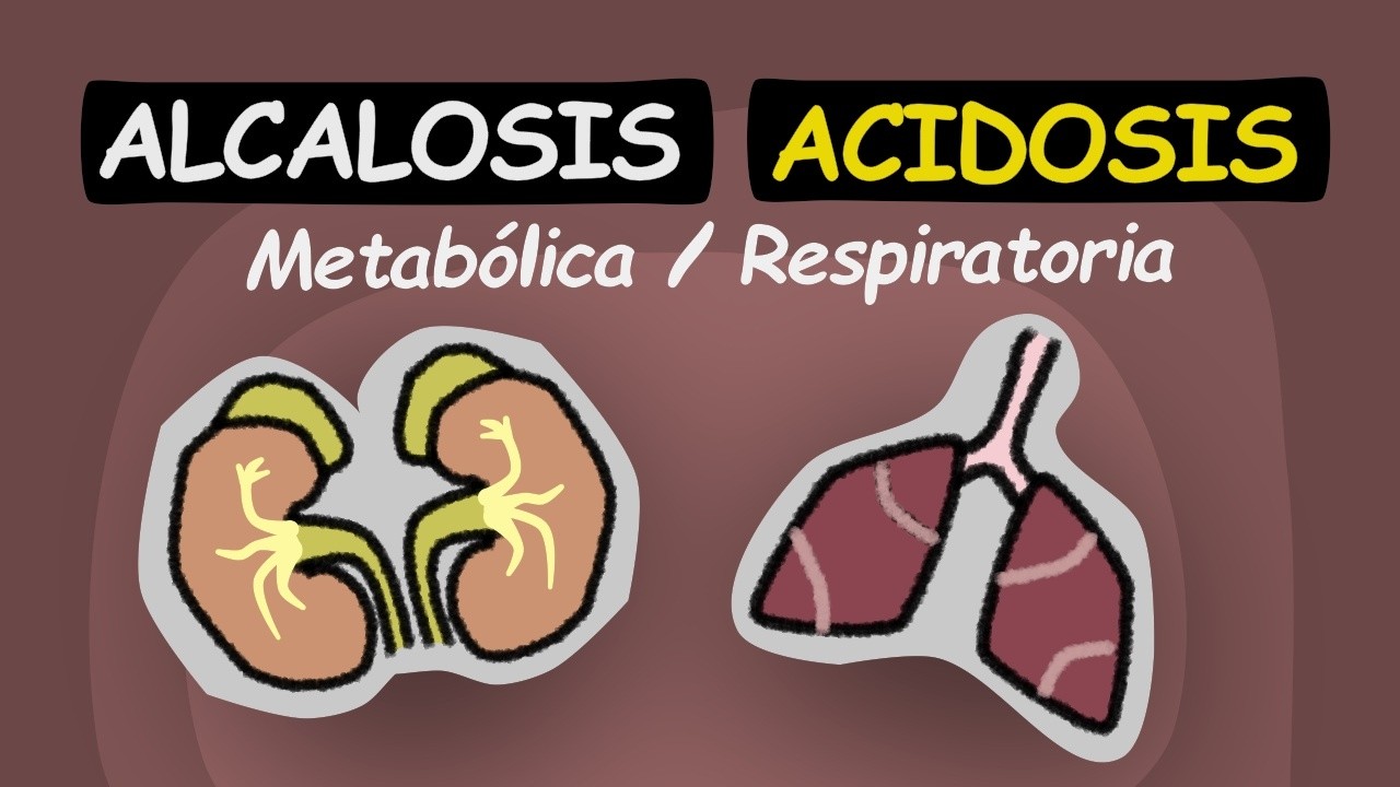 🧪 Entendiendo la Acidosis y Alcalosis (Respiratorias y Metabólicas) 🧪