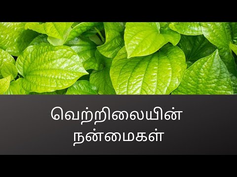 வெற்றிலையின் நன்மைகள் #115(Benefits of Betel Leaf)/C.K.Nandagopalan/The Greatest Tamil Science