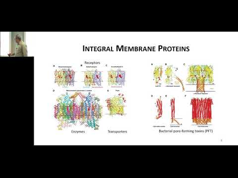 DCMB Tools and Technology Seminar 10/11/2018 - Andrei Lomize