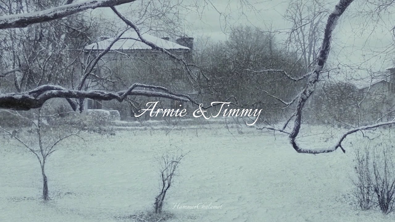 Soul Mate - Timmy & Armie ( charmie video ) 💕