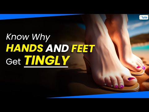 Causes of Tingling in Hands & Feet | Reason Behind Tingling In Hands & Feet | Letstute