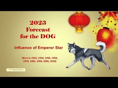 DOG 2023 Animal Sign Prediction | Year of the Water Rabbit