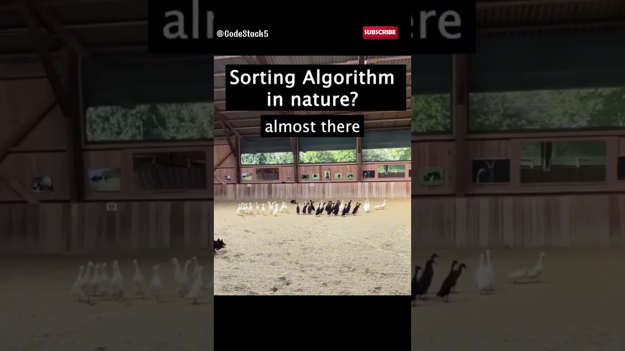 Sorting algorithm in nature#shortsfeed  #programming  #programmingmemes