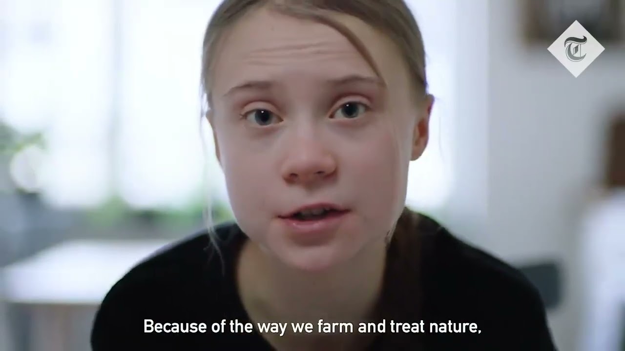 Watch: Greta Thunberg: Our relationship with nature is broken, and it ...