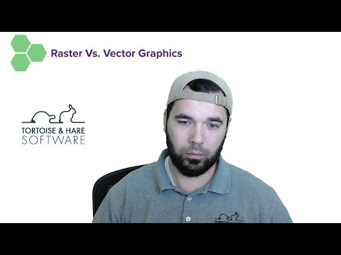 Understanding Raster vs. Vector Graphics