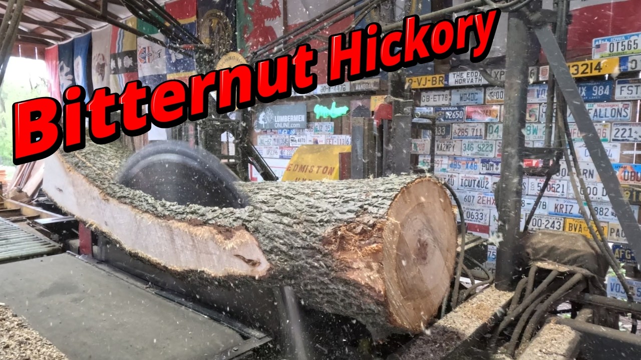 Sawing Bitternut hickory for the first time on this sawmill # 862